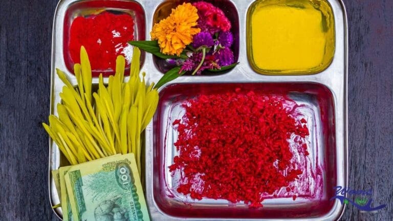 Samter’s triad: pathophysiology, symptoms & Treatment - WOMS