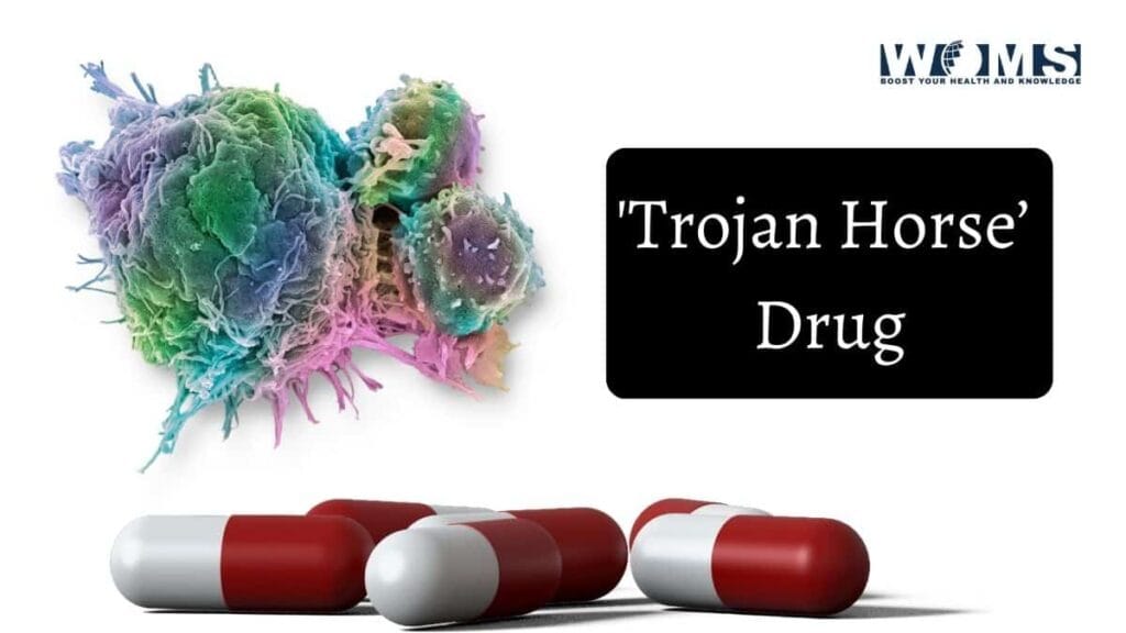 Fruitful Testing the Cancer-Killing ‘Trojan Horse’ Drug - WOMS