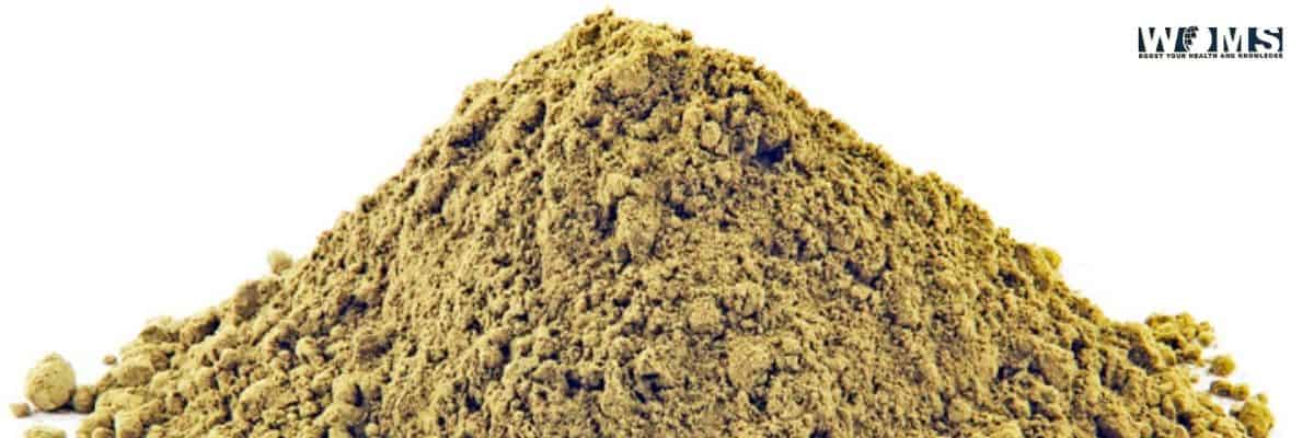 Benefits of the Exceptionally Best Botanical Herb Bladderwrack - WOMS