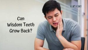Can Wisdom Teeth Grow Back? - WOMS