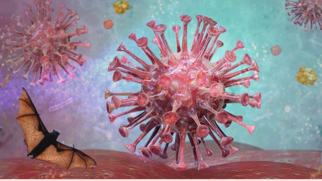 A speechless dream withstanding an example - WOMS