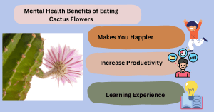 Surprising Health Benefits of Consuming Cactus Flowers - WOMS
