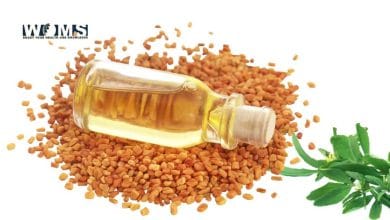 13 Golden Health benefits of fenugreek oil - WOMS