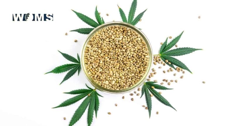 The Medicinal Properties of Marijuana Seeds - WOMS