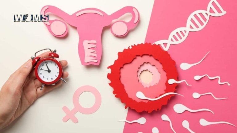 9 Signs of Ovulation - WOMS