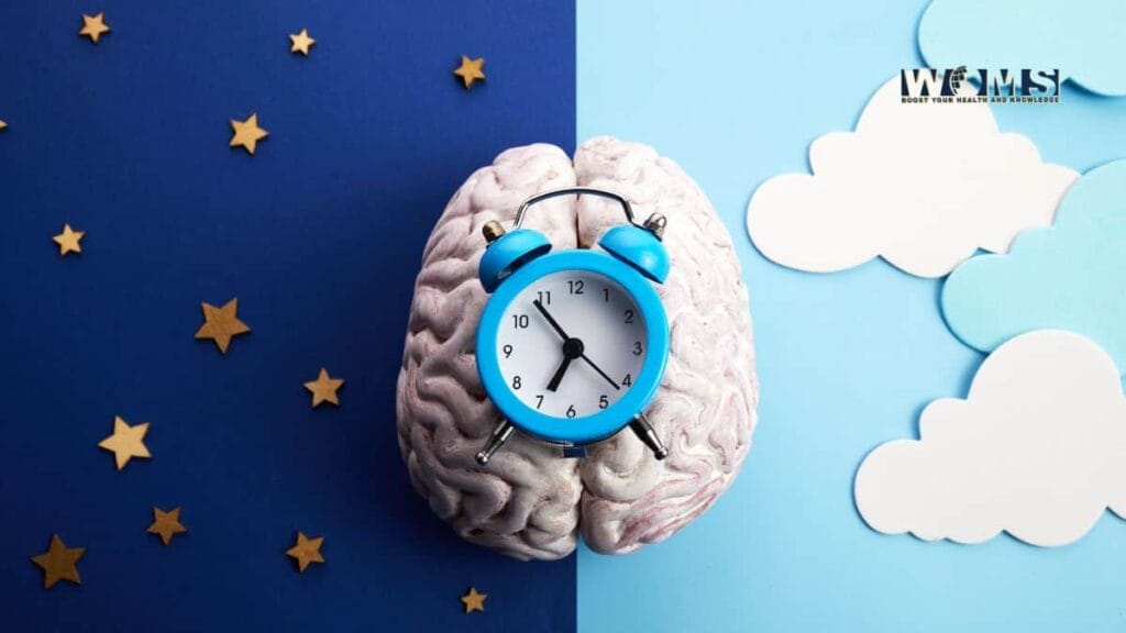 The Science of Timing: How Circadian Rhythms Shape Your Fitness Journey ...